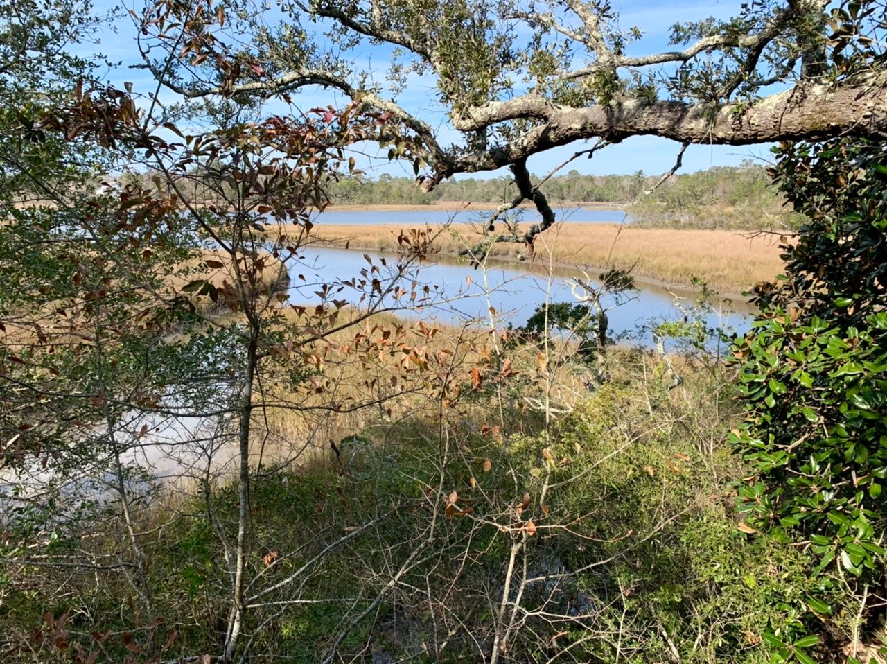 Trip Report - Gulf Coast National Seashore, Davis Bayou